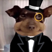 Steam Community :: Glenn Figglebottom