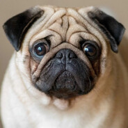 Steam Community :: PUG