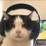 NIck.Gerald - CS2 Stats and Player Profile - Leetify