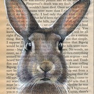 Steam Community :: Bazooka Bunny