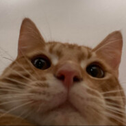 Steam Community :: Ginger