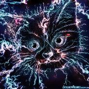 Steam Curator: «Electro cat»