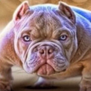 Steam Community :: Pimpy Son Opp