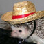 Steam Community :: spooky_space_ :: Item Inventory