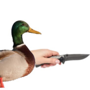Steam Community :: the stabby duck