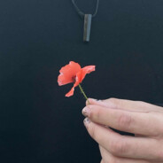 Steam Community :: Xenomy