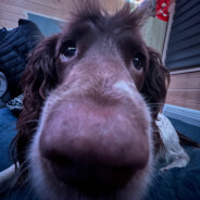 Steam Community :: Watitoto