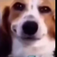 Steam Community :: Noksu